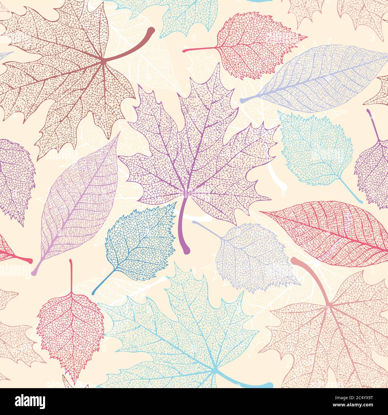 Skeleton leaf pattern hi-res stock photography and images - Alamy