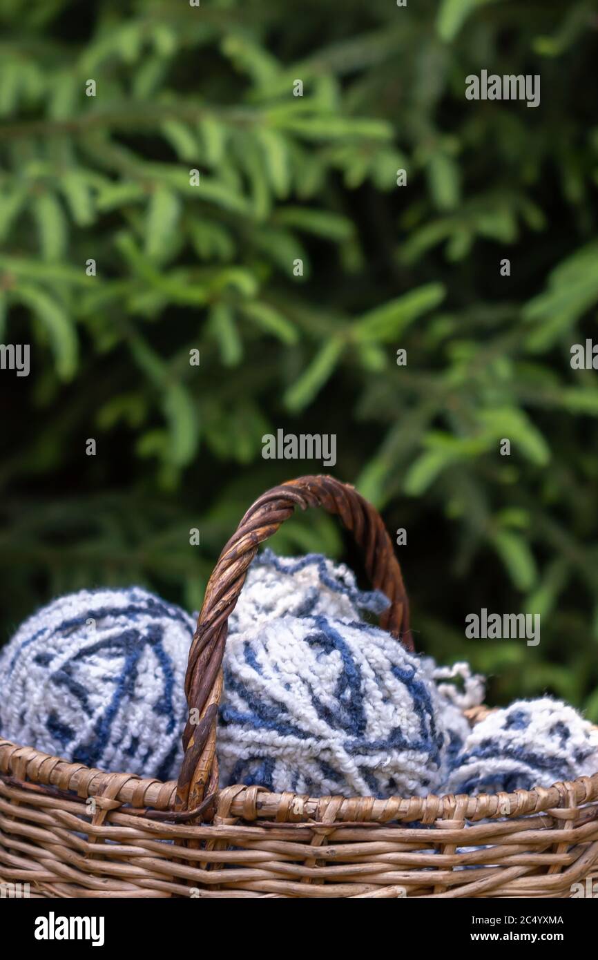White-blue fluffy wool balls in a basket on a background of green ...
