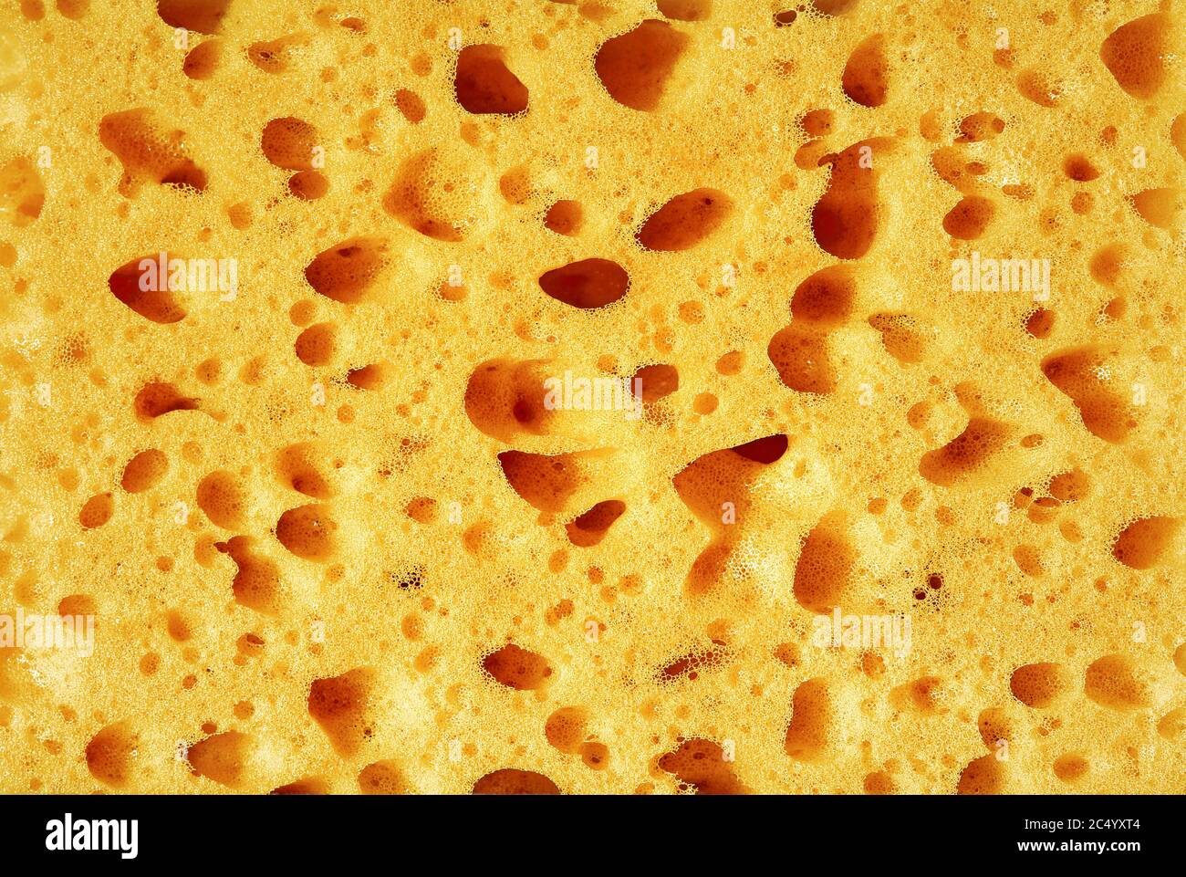 Sponge, porous material Stock Photo - Alamy