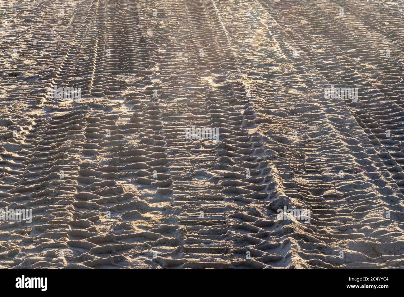 tyre tracks in the sand from a large vehicle on a beach Stock Photo - Alamy