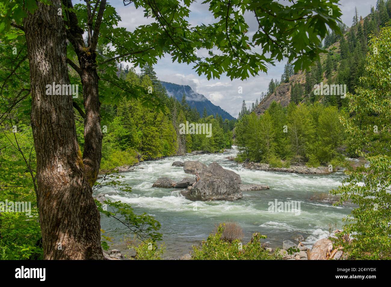 View of the Wenatchee River from the Old Pipeline Bed Trail near ...