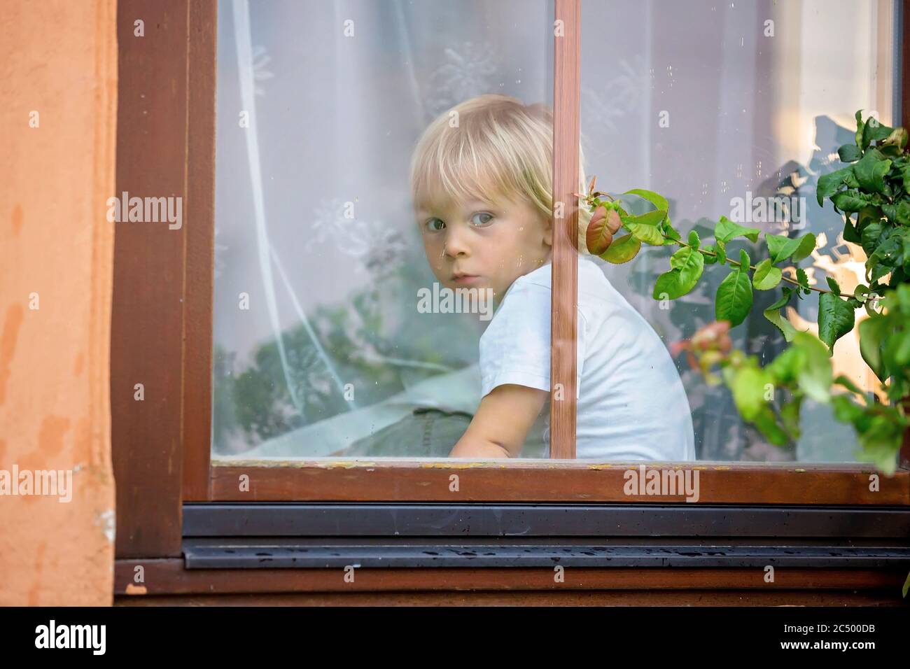 Little toddler child, boy, sitting on a window shield, looking outside ...