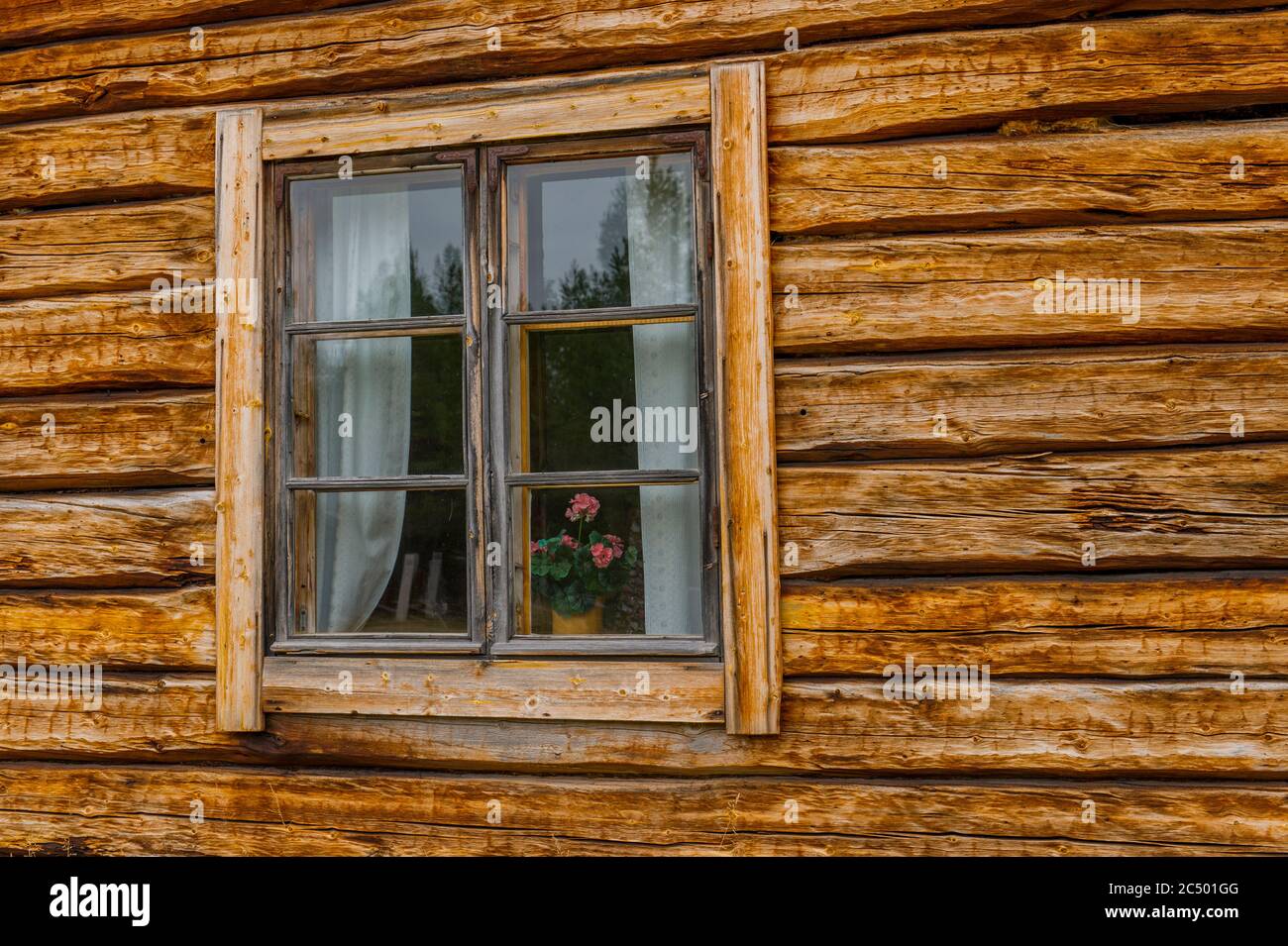 Detail of a Sami log house at the open-air section of Siida Museum in ...