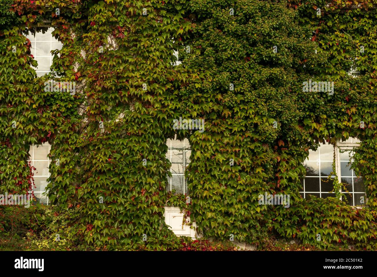 Quirky windows hi-res stock photography and images - Alamy