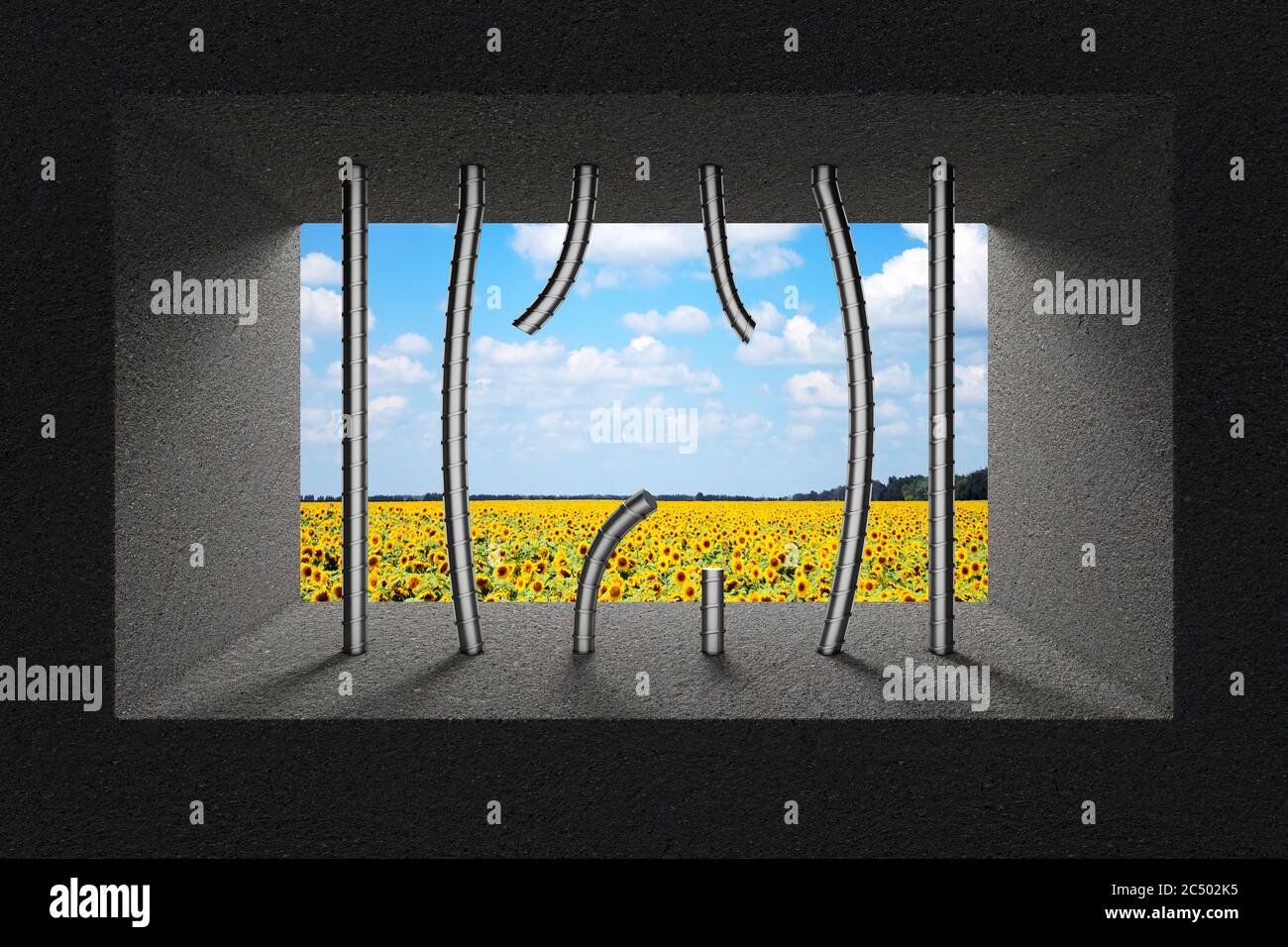 Sky and Sunflower Field Seen Through Broken Jail Bars in Prison Window ...