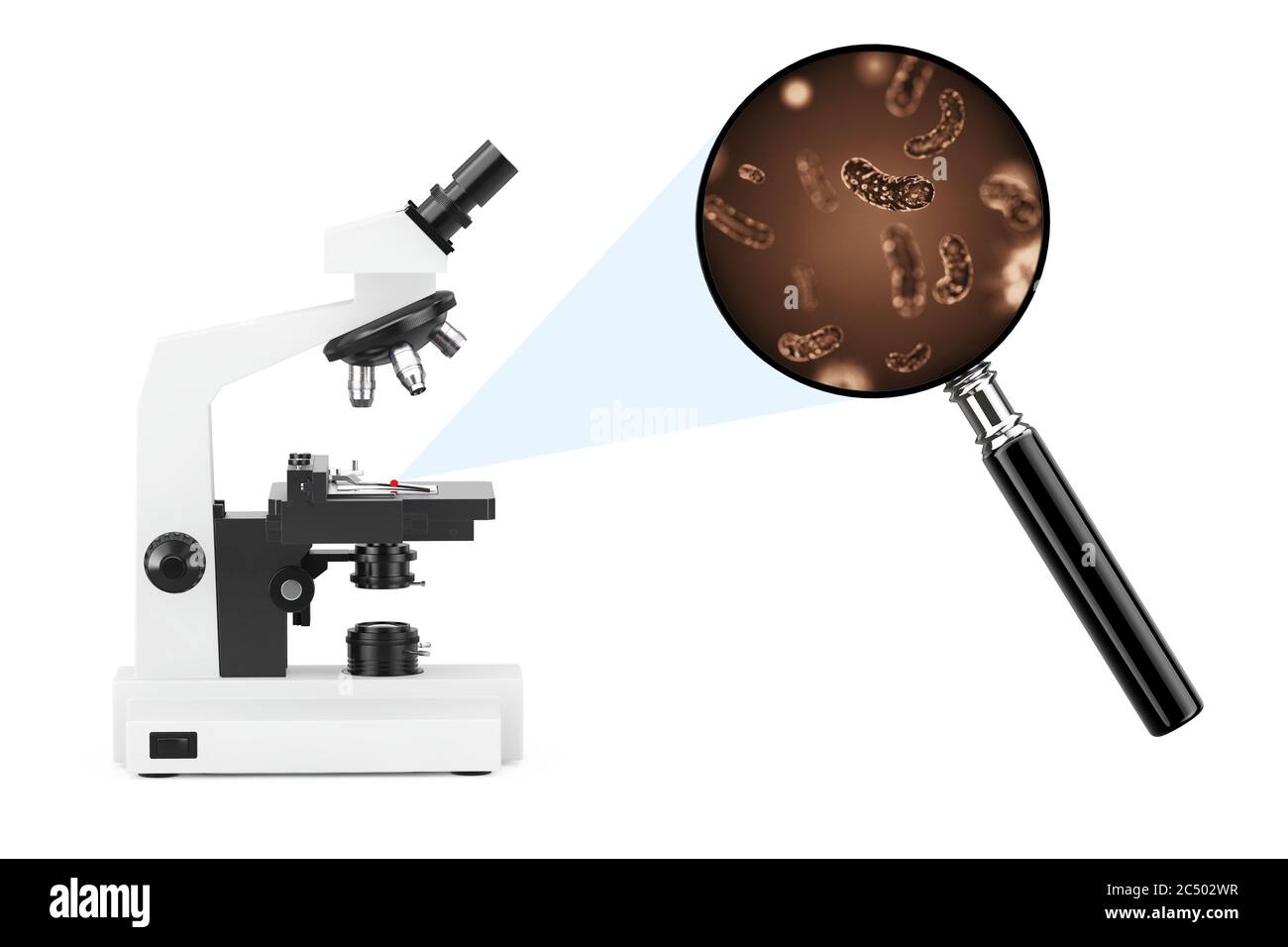 Modern Laboratory Microscope Explore Bacterias and Viruses Seens ...