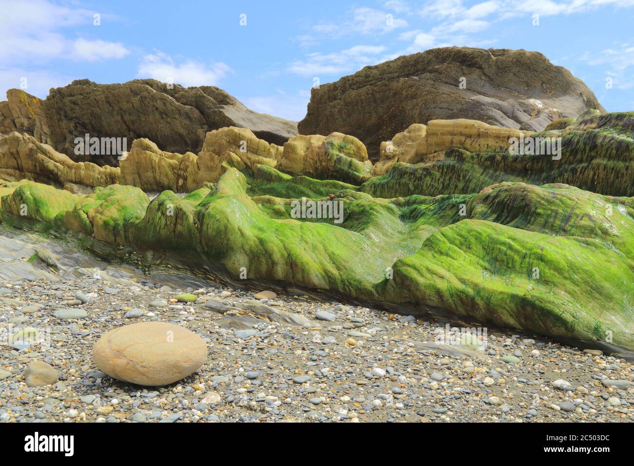 Rocks on the beach during low tide in seaside town of Ilfracombe on the ...