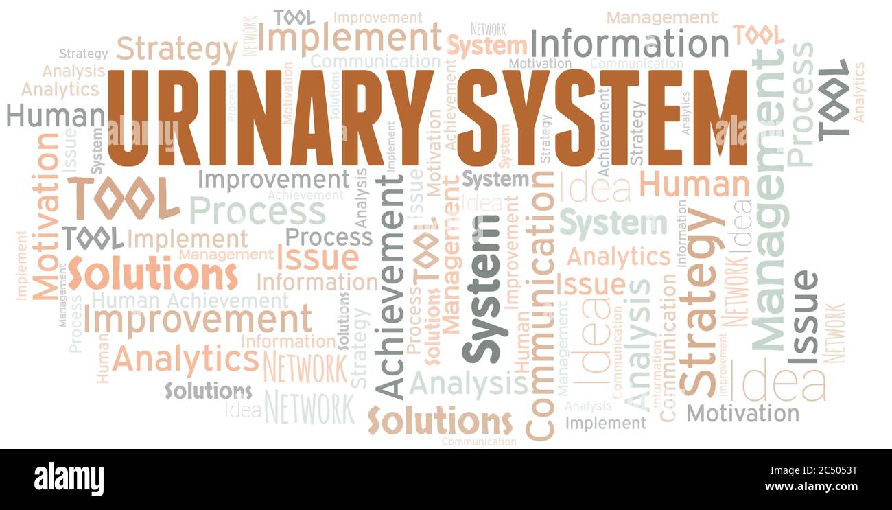 Urinary System typography vector word cloud. Wordcloud collage made ...