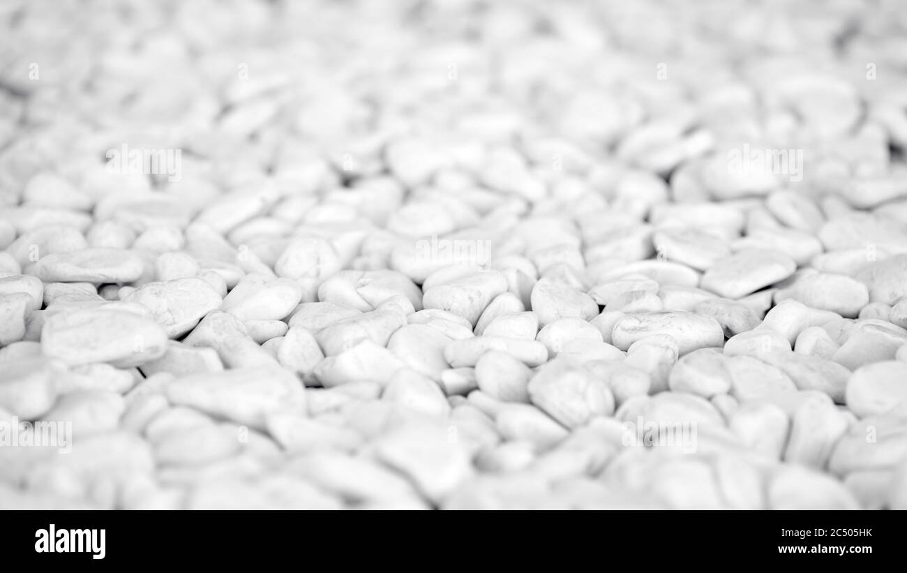Naturally polished white rock pebbles background. white stones in ...