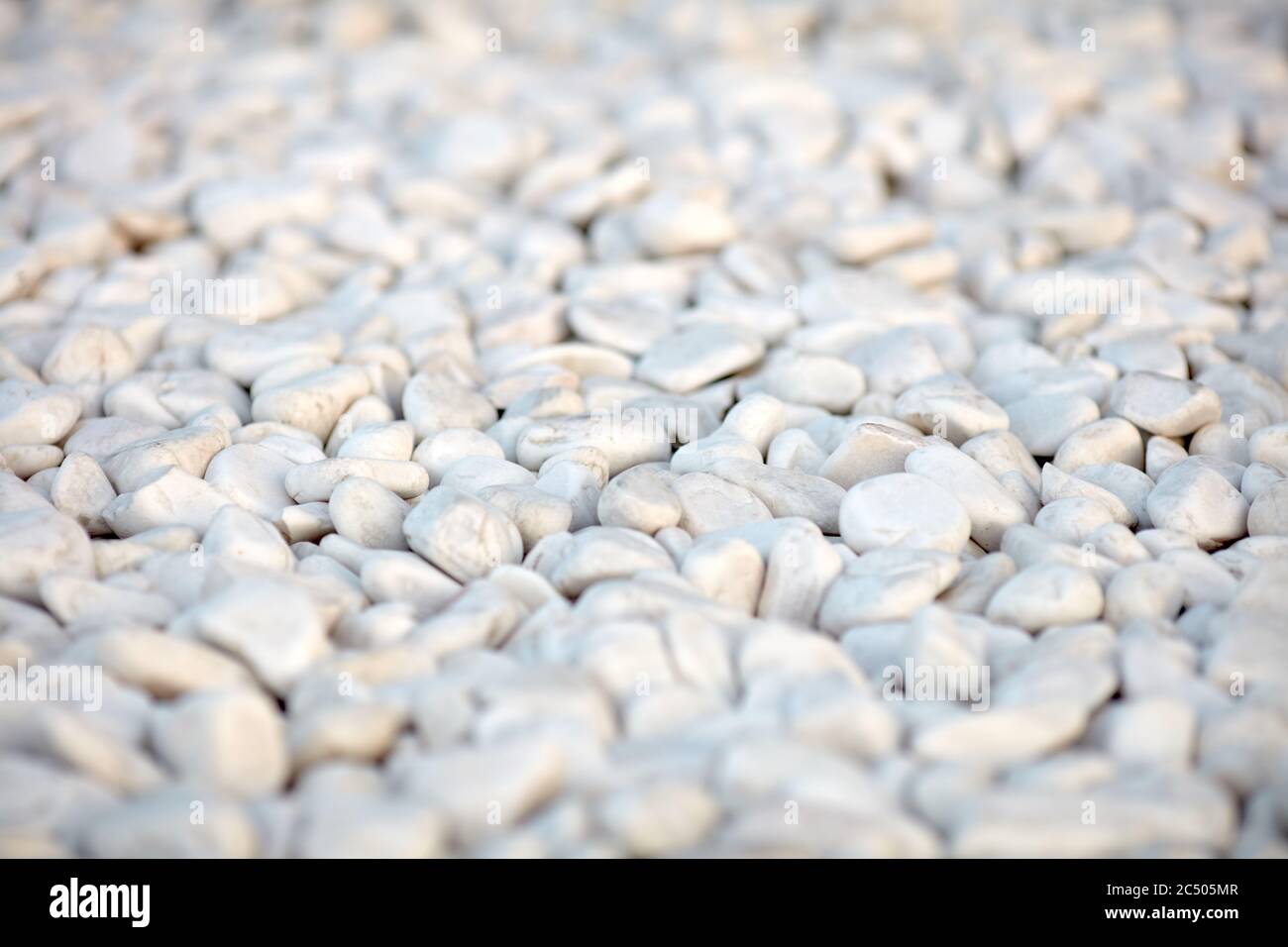 Naturally polished white rock pebbles background. white stones in ...