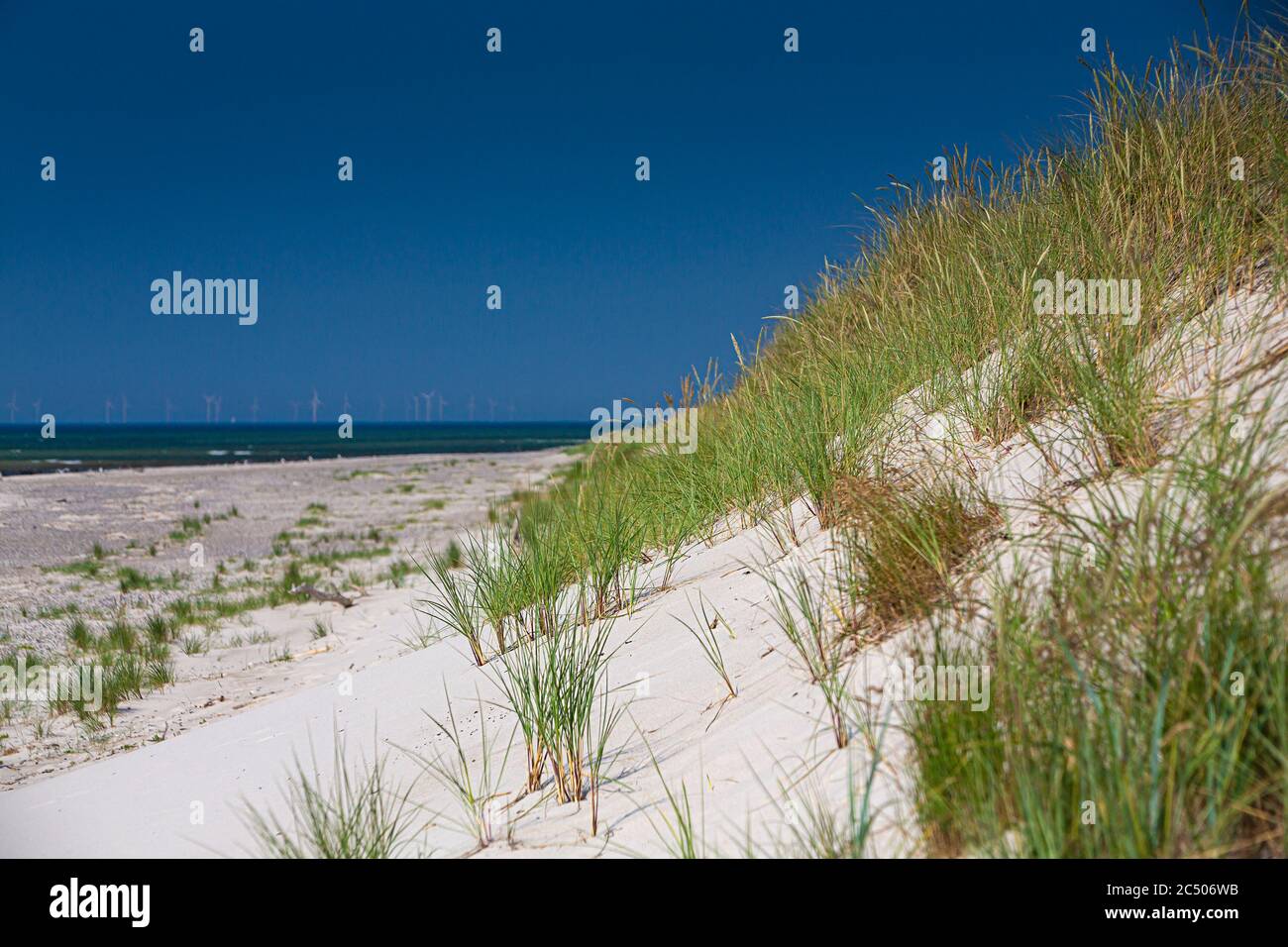 Baltic sea, Germany, Mecklenburg-Western Pomerania, Darß, Prerow ...