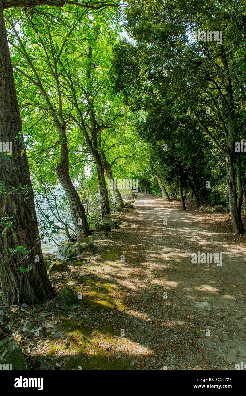 Path on Maggiore Island along Lake Trasimeno in Umbria, Italy Stock ...