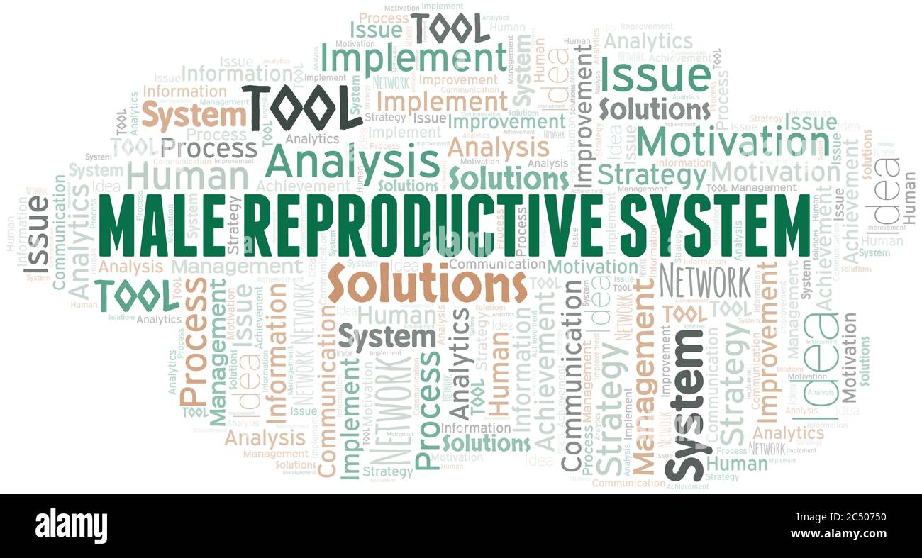 Male Reproductive System typography vector word cloud. Wordcloud ...