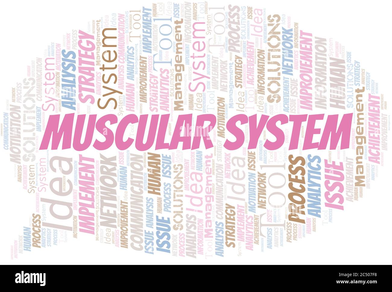 Muscular System typography vector word cloud. Wordcloud collage made ...