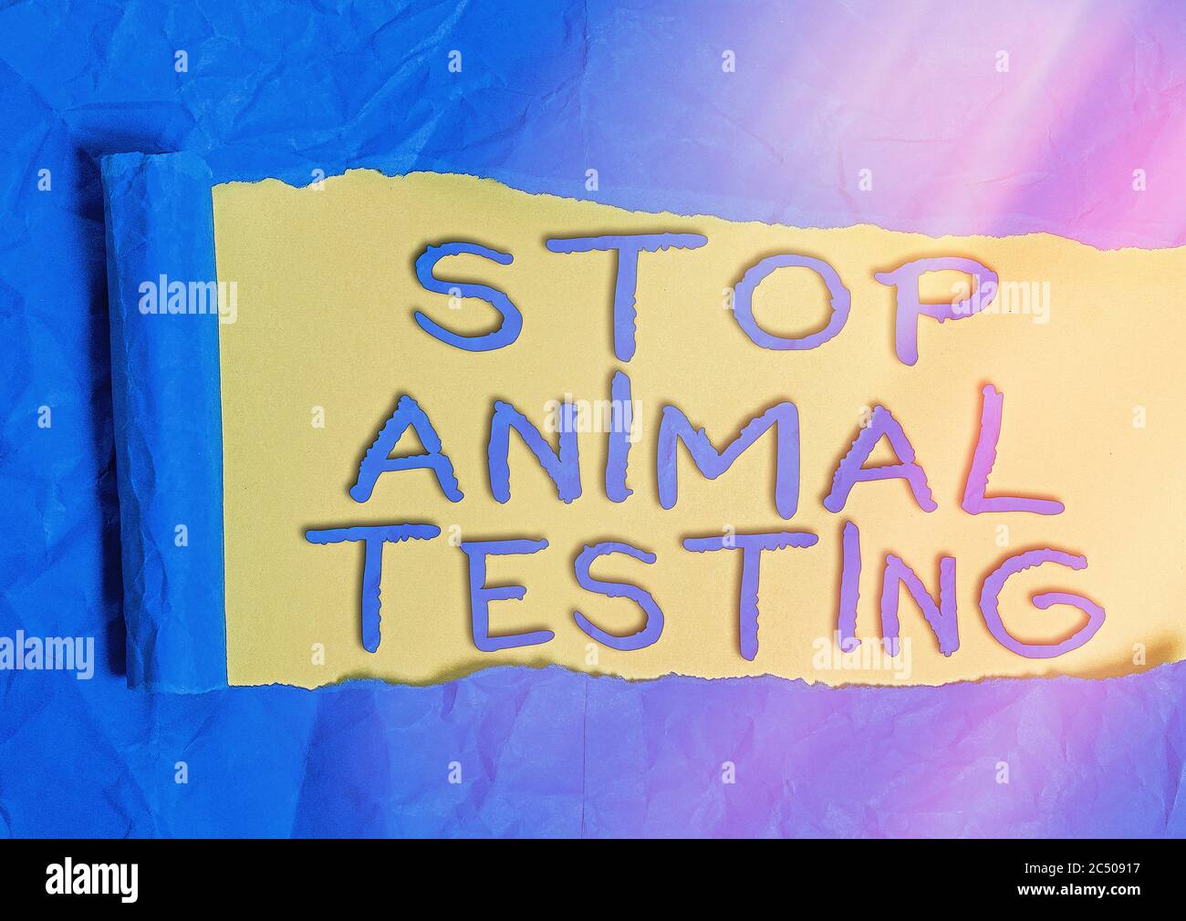 Word writing text Stop Animal Testing. Business photo showcasing put an ...