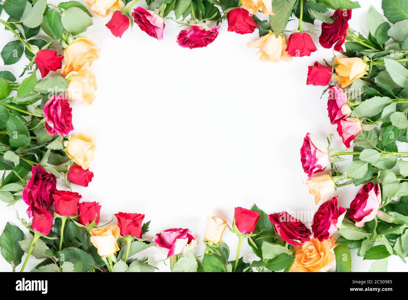 orange and red roses Stock Photo - Alamy