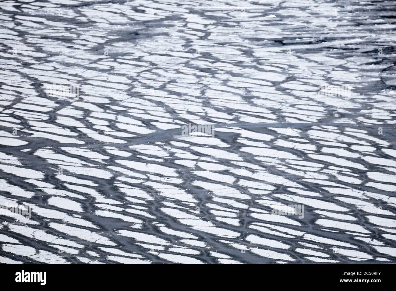ice on the pond. water freezing Stock Photo - Alamy
