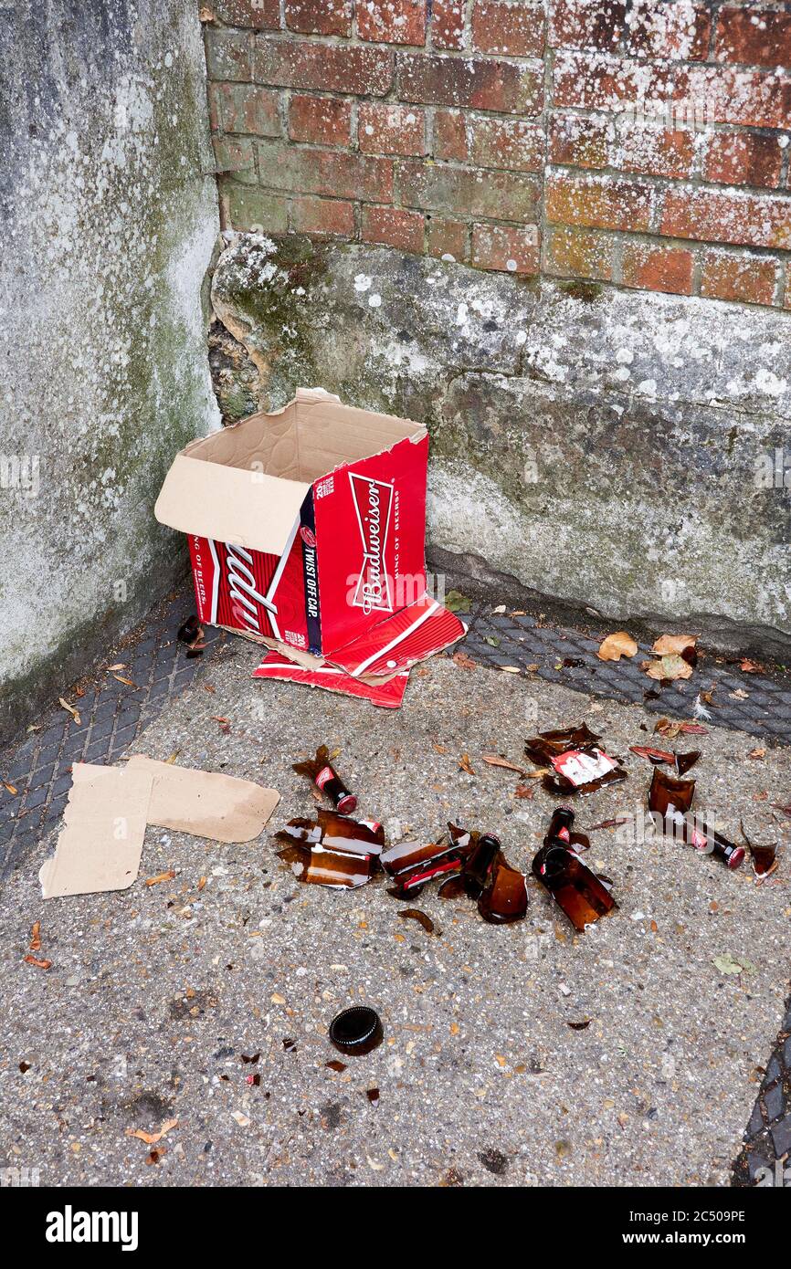 Broken beer bottles Stock Photo - Alamy