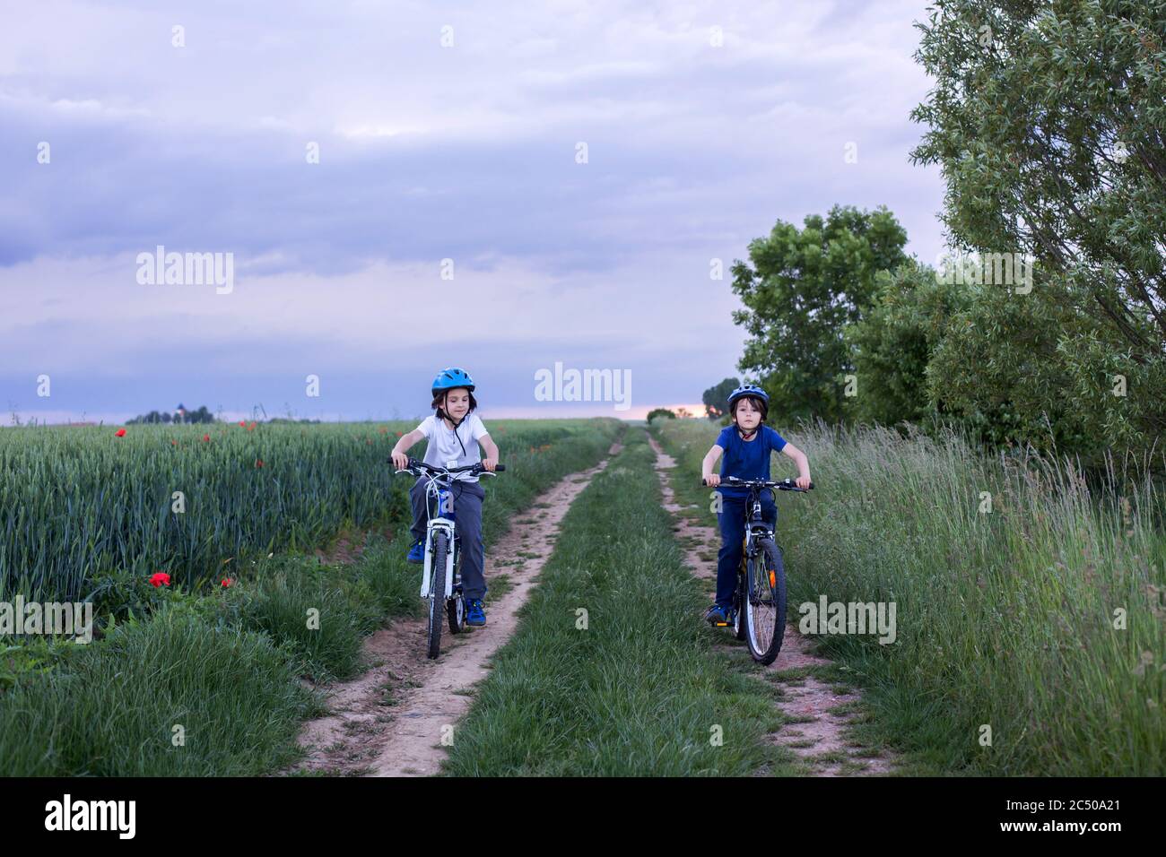 Children, riding bikes on rural path on summer evening Stock Photo - Alamy