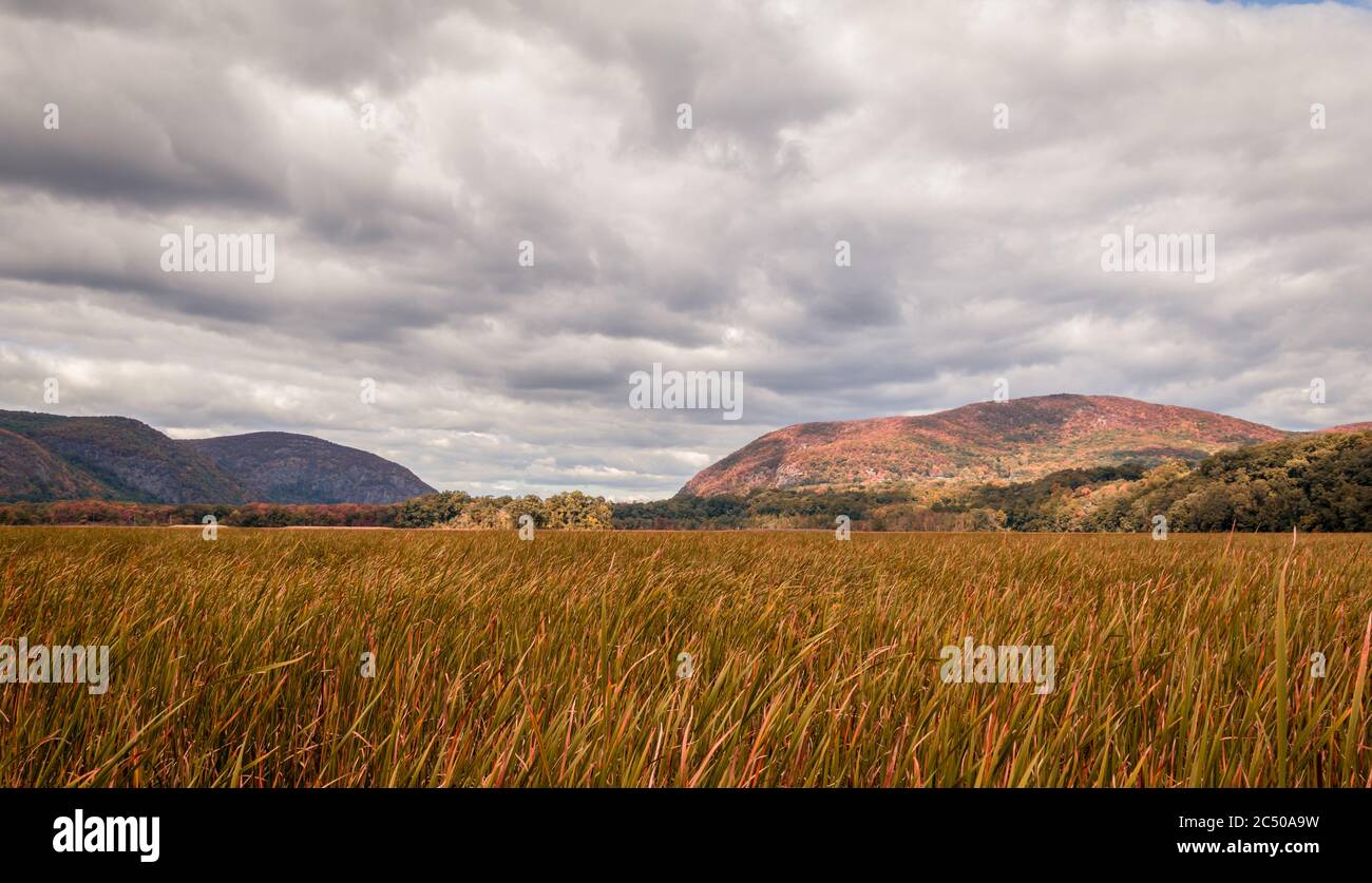 Constitution Marsh along the Hudson River, NY, with early fall foliage ...