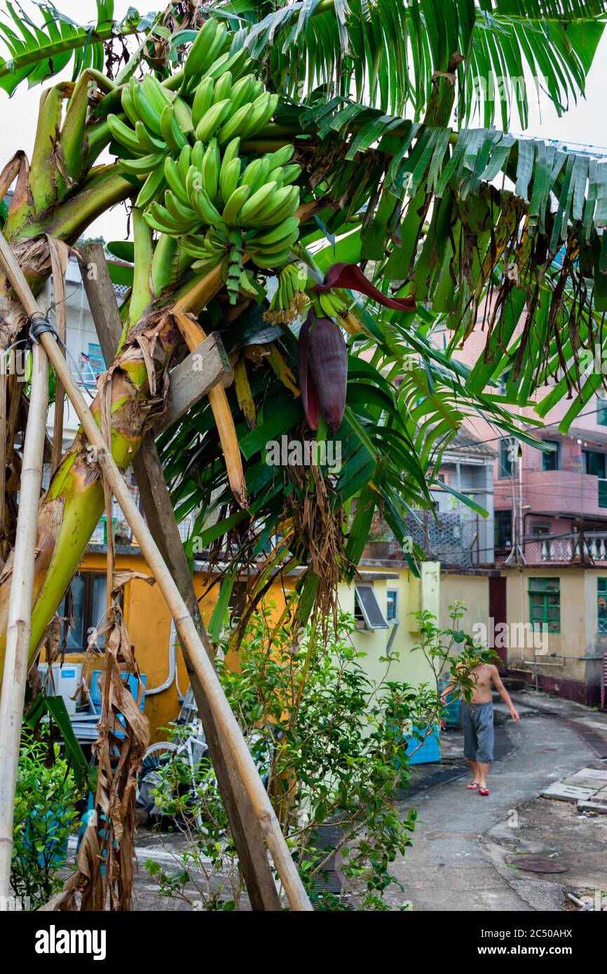 A rural village in New Territories, Hong Kong Stock Photo - Alamy