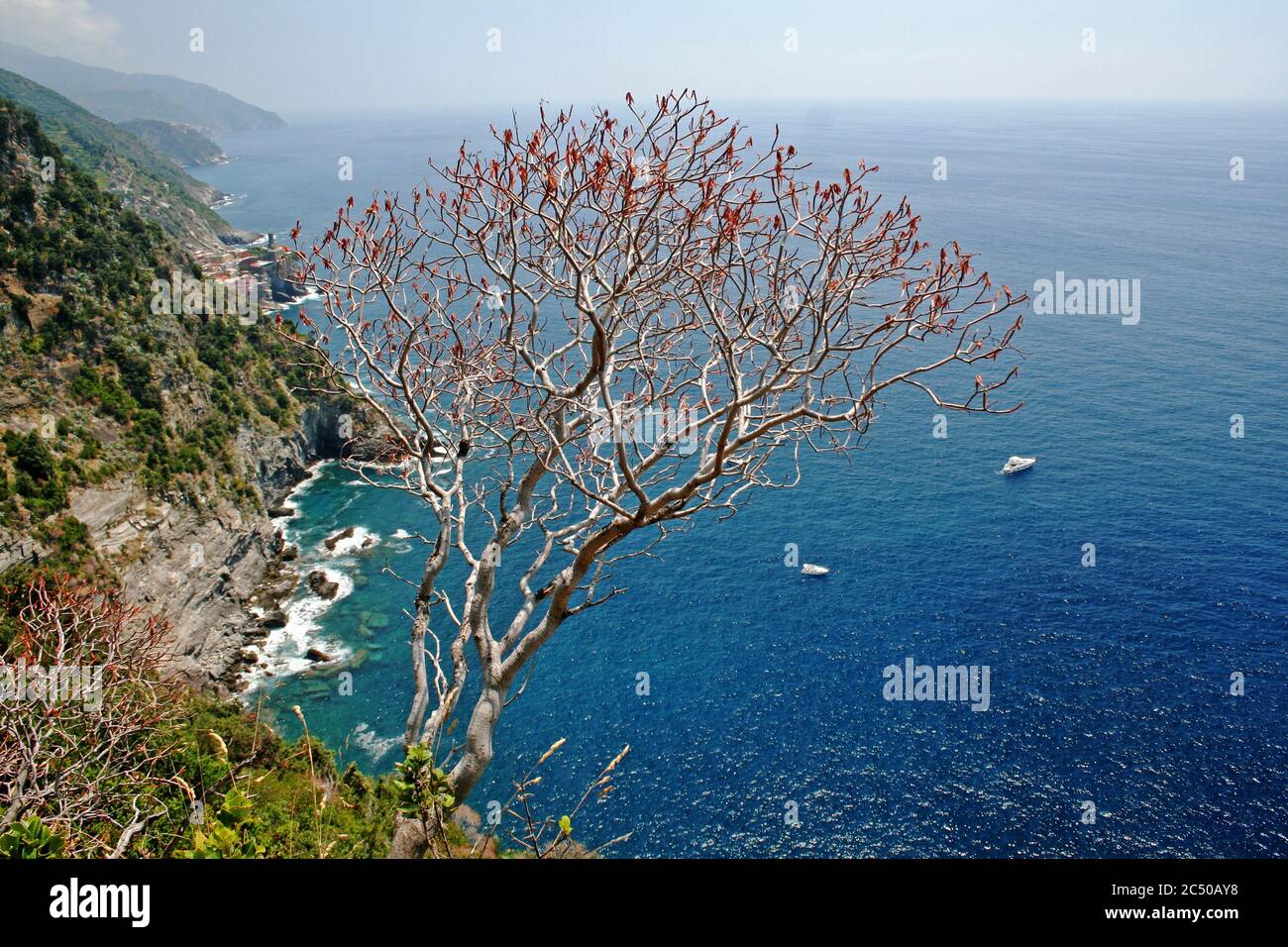 Into the Blue Stock Photo - Alamy