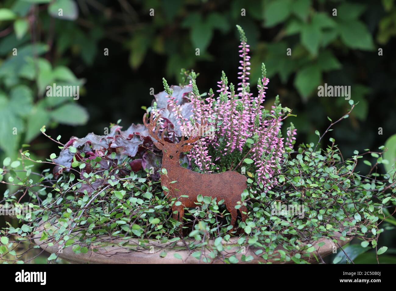 Dear hi-res stock photography and images - Alamy