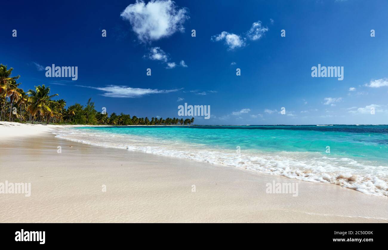 Tropical island. View of the beach from the water Stock Photo - Alamy
