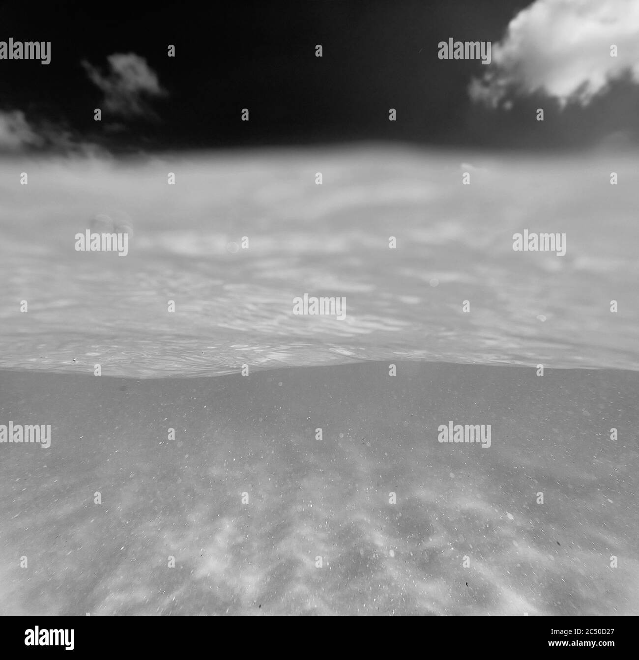 Underwater world. Tropical transparent ocean. Still Calm Sea Water ...