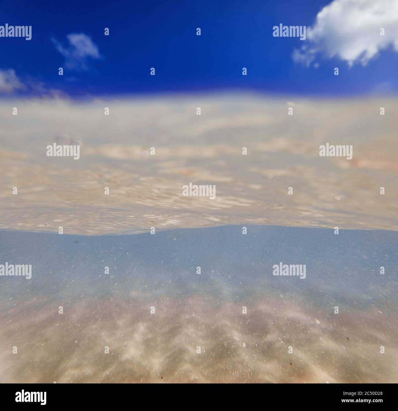 Underwater world. Tropical transparent ocean. Still Calm Sea Water ...
