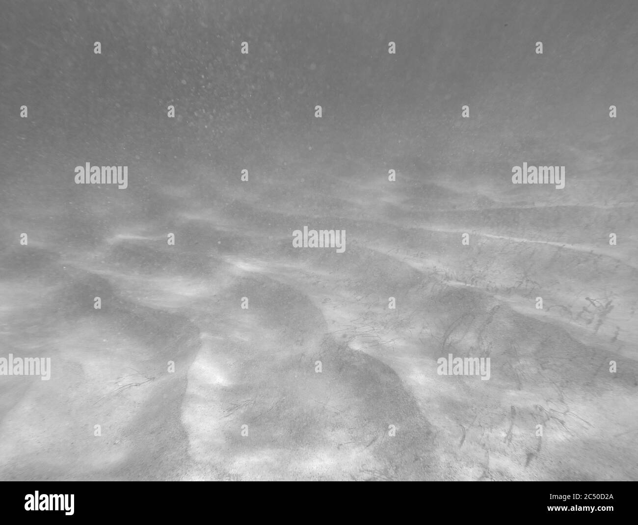 Underwater world. Tropical transparent ocean. Still Calm Sea Water ...