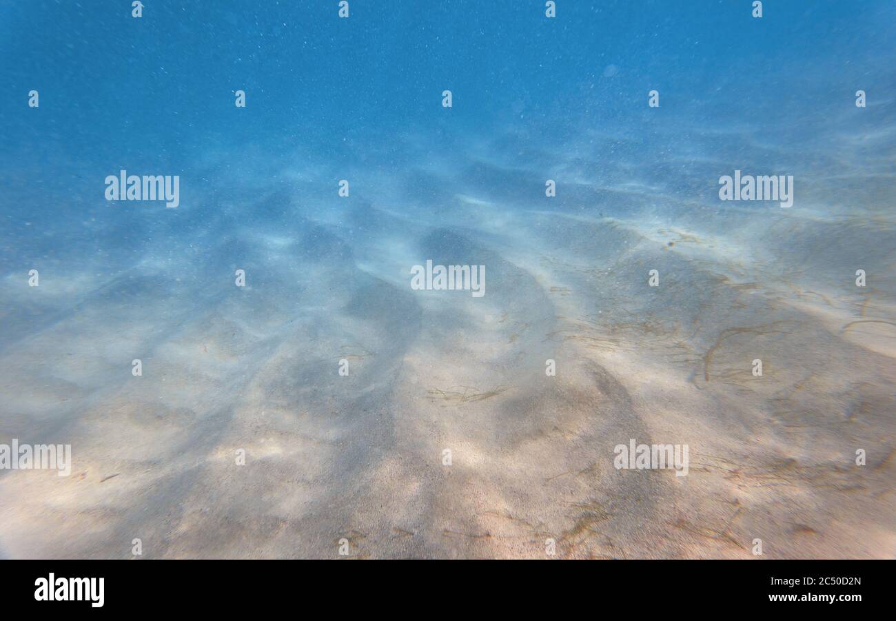 Underwater world. Tropical transparent ocean. Still Calm Sea Water ...