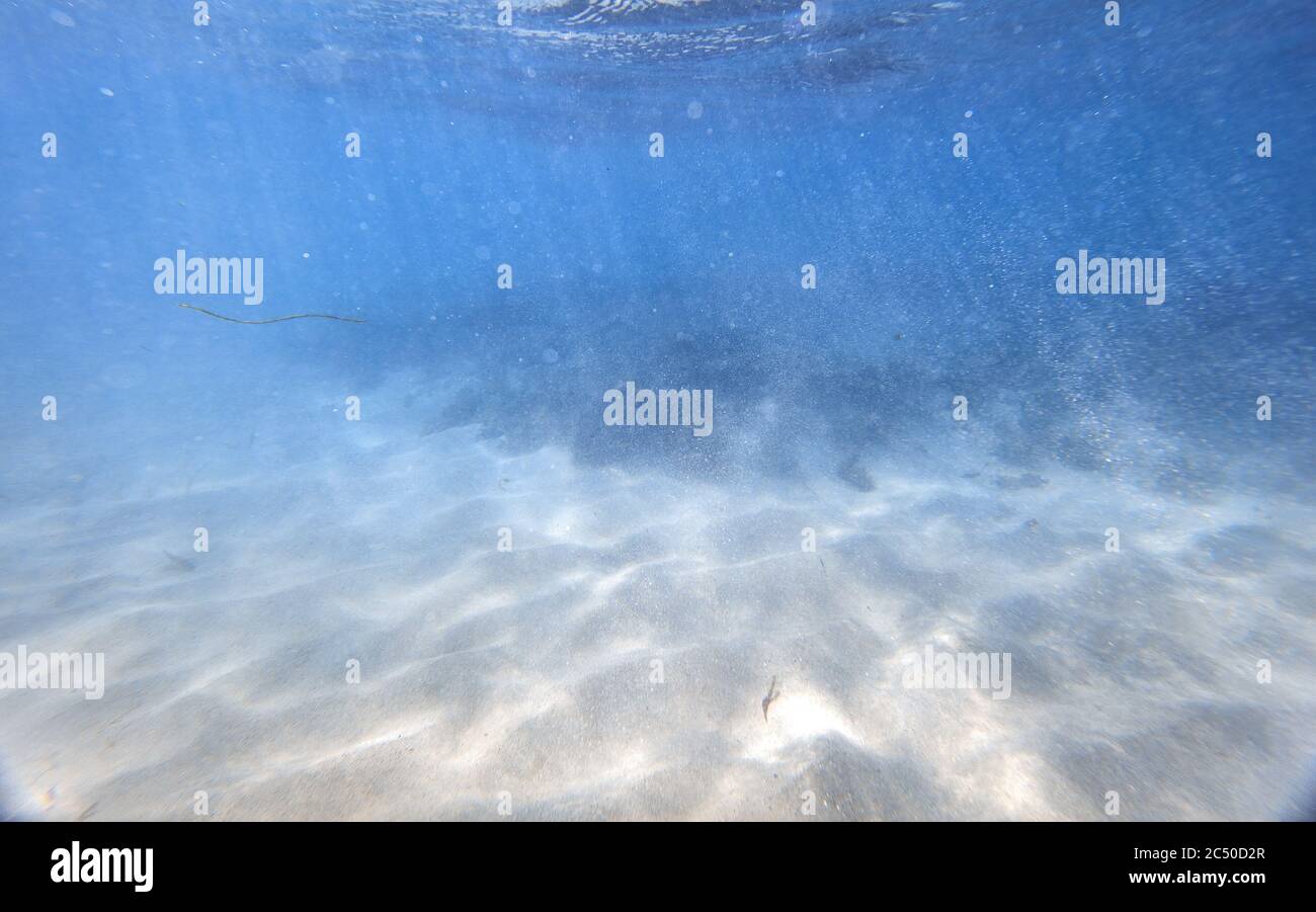 Underwater world. Tropical transparent ocean. Still Calm Sea Water ...
