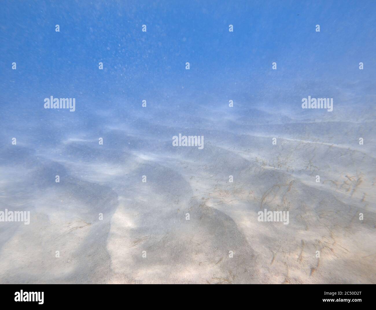 Underwater world. Tropical transparent ocean. Still Calm Sea Water ...