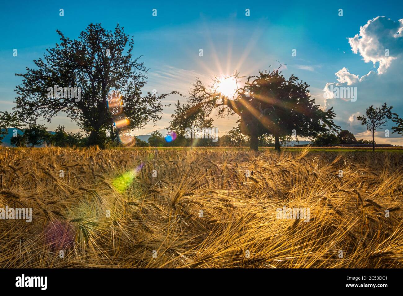 Rural rural sun and countryside hi-res stock photography and images - Alamy