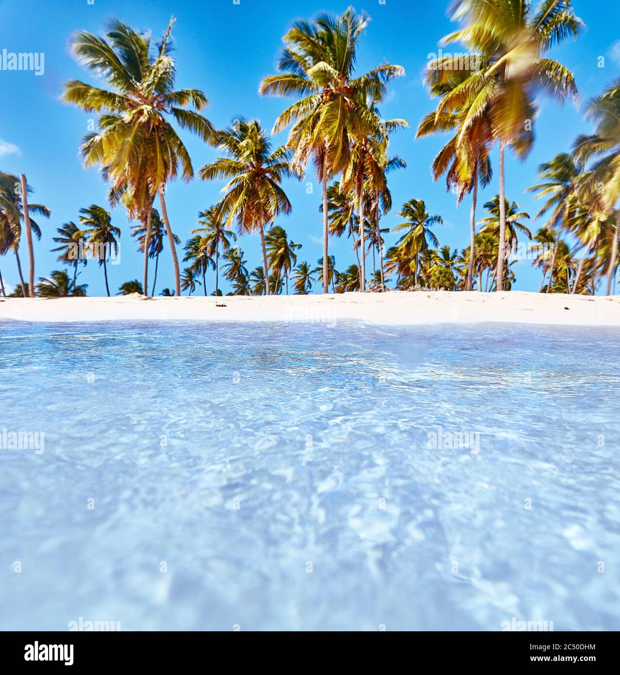 Tropical island. View of the beach from the water Stock Photo - Alamy