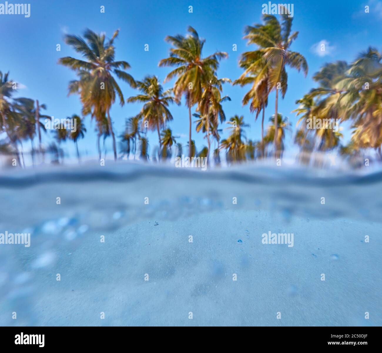 Tropical island. View of the beach from the water Stock Photo - Alamy