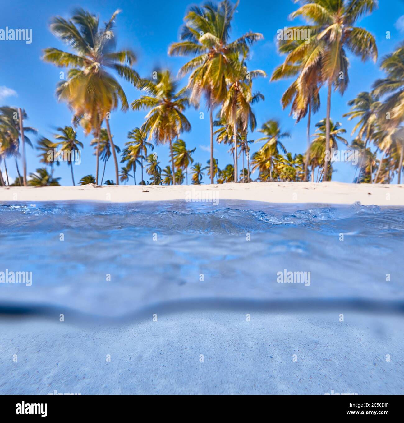 Tropical island. View of the beach from the water Stock Photo - Alamy