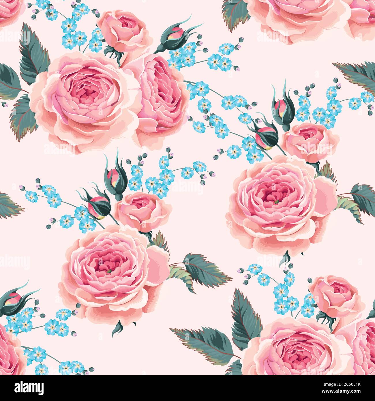 English roses seamless Stock Vector Image & Art - Alamy