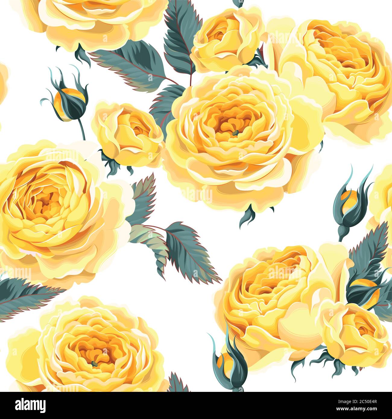 English roses seamless Stock Vector Image & Art - Alamy