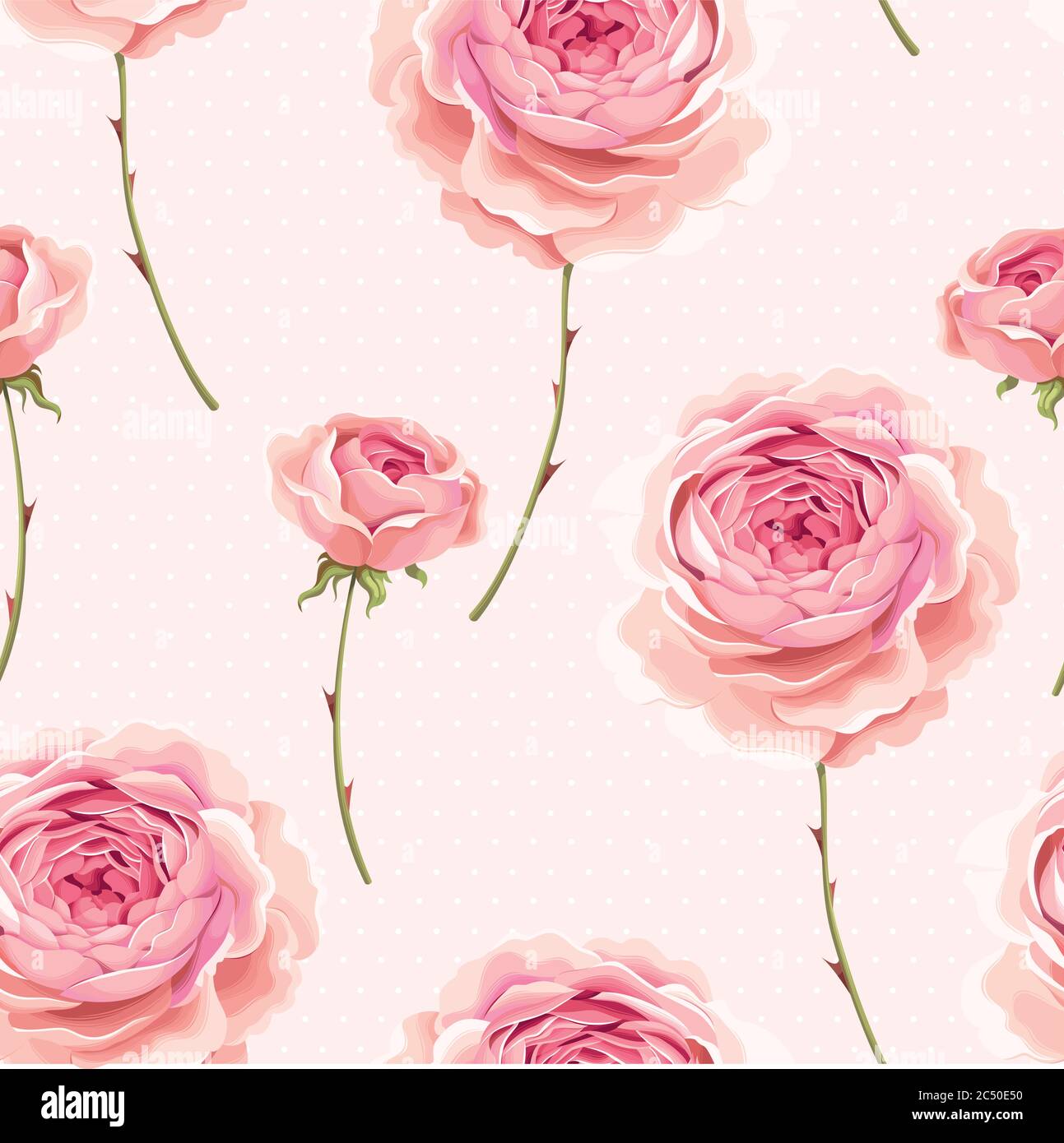 English roses seamless Stock Vector Image & Art - Alamy