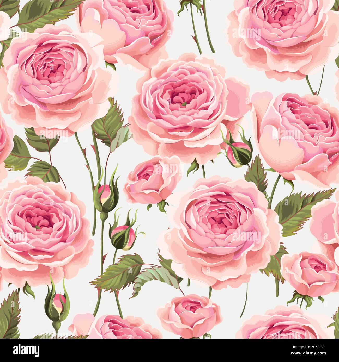 English roses seamless Stock Vector Image & Art - Alamy