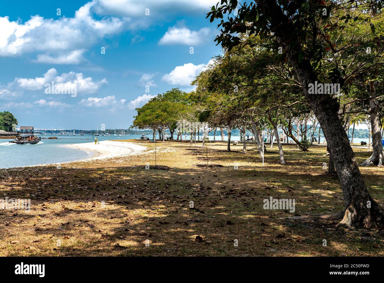 Changi Beach Park, Singapore Stock Photo - Alamy