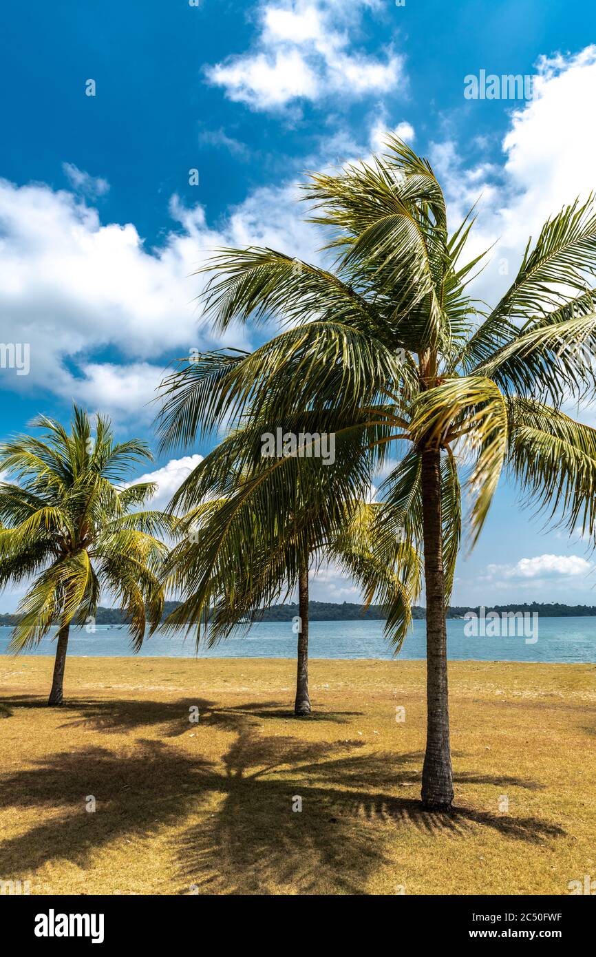 Changi Beach Park, Singapore Stock Photo - Alamy