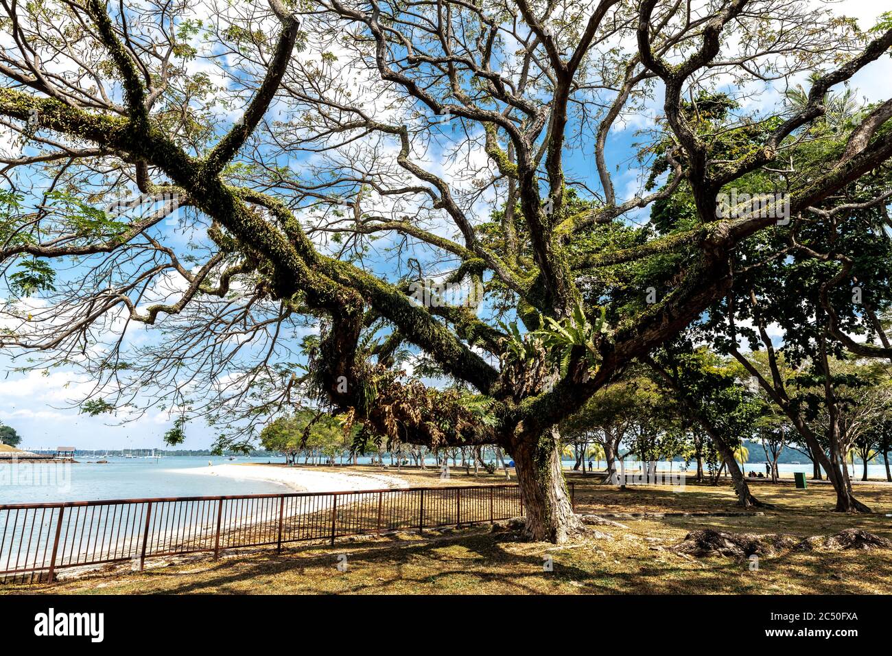 Changi Beach Park, Singapore Stock Photo - Alamy
