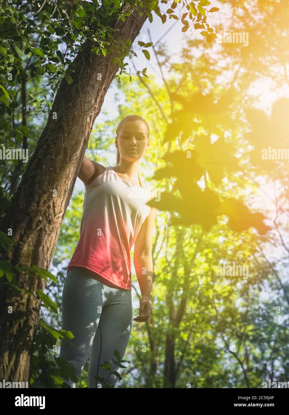 Forest tree runner hi-res stock photography and images - Alamy