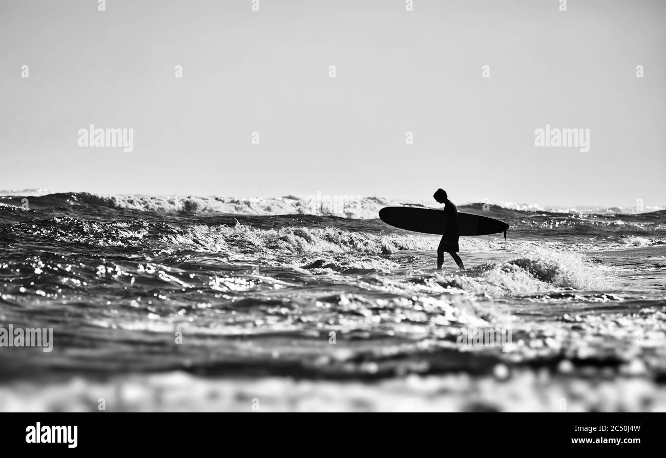 Gold sea with surfer Black and White Stock Photos & Images - Alamy