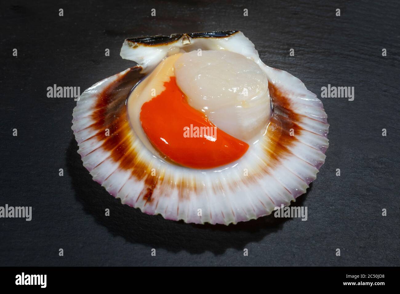 Queen scallop hi-res stock photography and images - Alamy