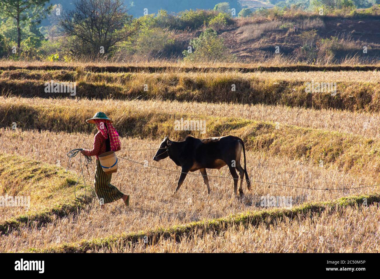 Country side life hi-res stock photography and images - Alamy