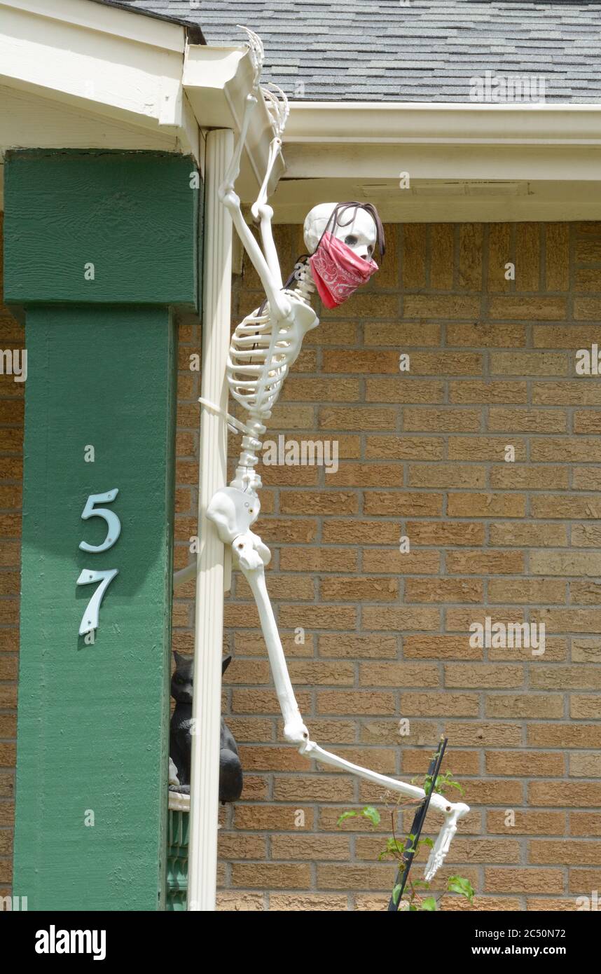 Skeleton mask hi-res stock photography and images - Alamy